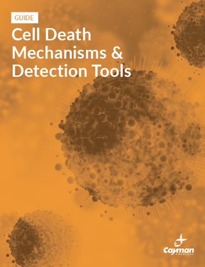 Cell Death Mechanisms & Detection Tools