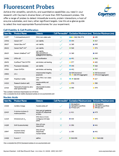 O 2 Concentration of a Simulated Tumor Environment Affects Metabolic ...