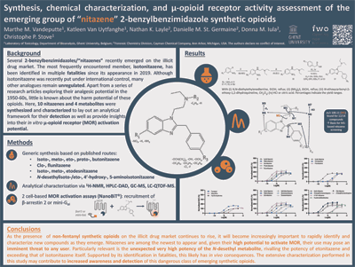 Synthesis, chemical characterization, and µ-opioid receptor activity ...
