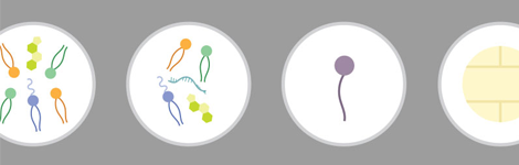 Leece Neville RAParts Diode & Lead Kit For Leece Neville Alternators ...