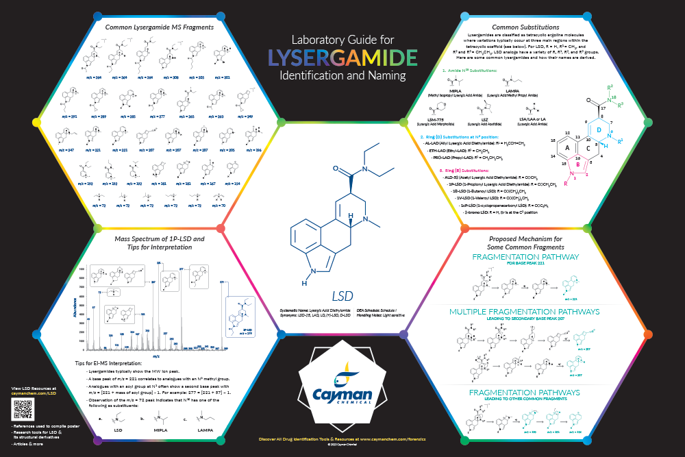 LSD Naming Guide Wall Poster