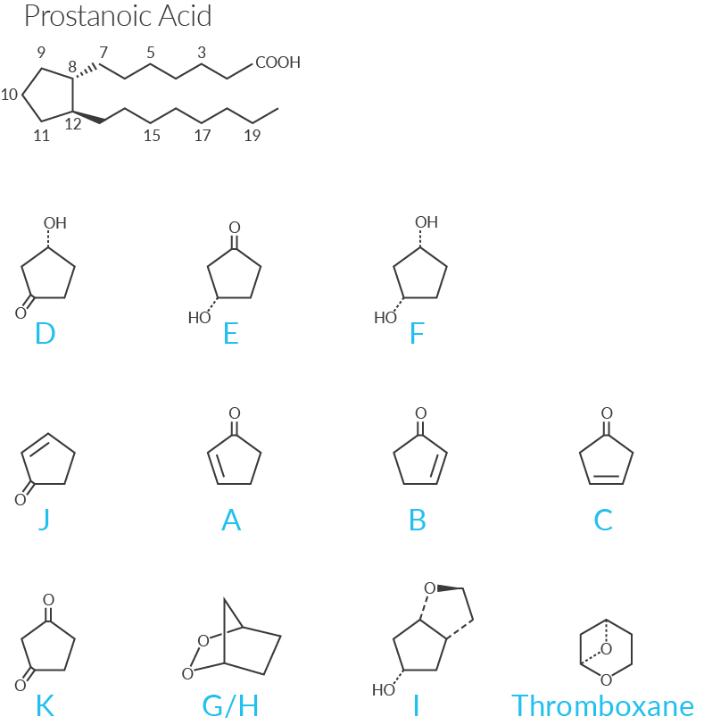 epa lipid structure