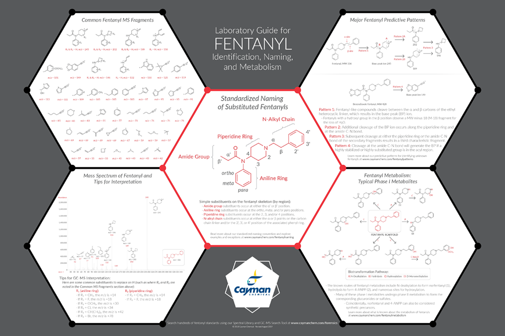 fentanyl-identification-poster.png