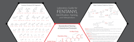 Download or request a physical copy of the Laboratory Guide for ...