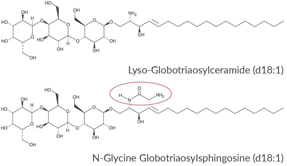 Glycinated Lyso Glycosphingolipids As New Mass Spectrometry, 57% OFF