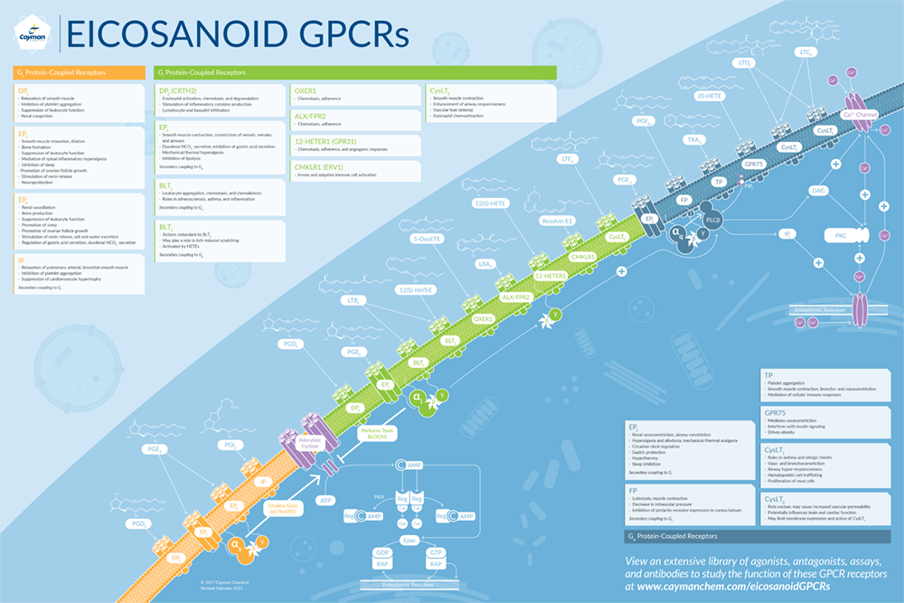 gpcr-poster-1000px.png