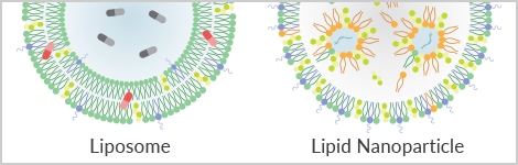 lipid-based-nano-drug-delivery-highlight.png