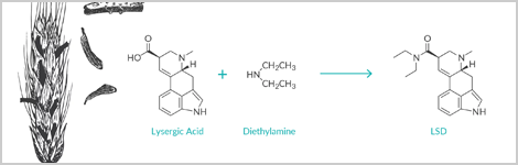 LSD and Its Structural Derivatives