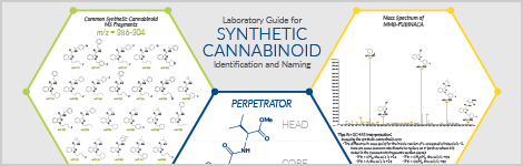 Download or Request a Physical Copy of the Synthetic Cannabinoid ...