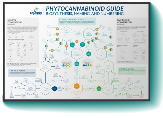 News & Announcements