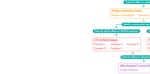 Explore additional assay kits to study mitochondrial function