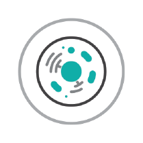 Cell & Molecular Biology Icon