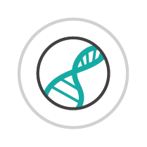 LNP Development Icon