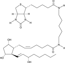 Prostaglandin F2α-biotin