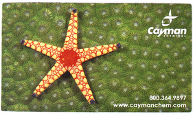 Cayman Starfish Magnet
