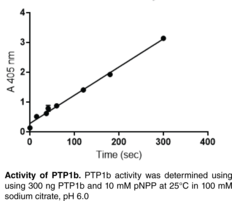 PTP1B (human, recombinant)