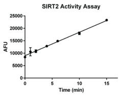 SIRT2 (human, recombinant)