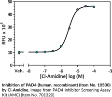 PAD4 (human, recombinant)