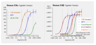 Human Estrogen Receptors Reporter Assay Panel