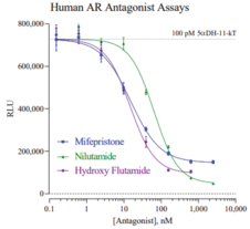 Human Androgen Receptor Reporter Assay System