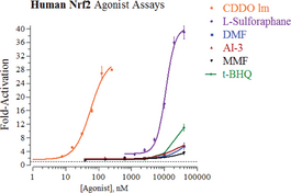 Human Nuclear Factor (erythroi-derived 2)-like 2 Reporter Assay System