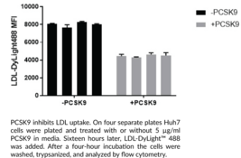 PCSK9 (human, recombinant)