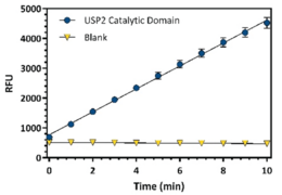 USP2 active domain (human recombinant)