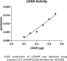 cGAS (human, recombinant)