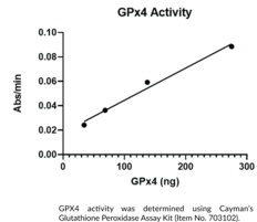 GPX4 (human, recombinant; His-tagged)