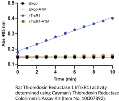 Thioredoxin Reductase 1 (rat, recombinant; aa 3-499)