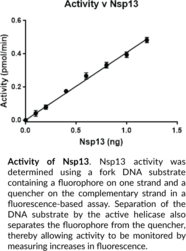 SARS-CoV-2 nsp13 Helicase (E. coli expressed)
