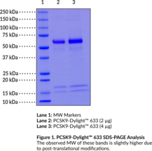 PCSK9-DyLight™ 633
