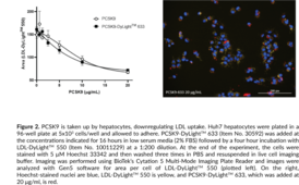 PCSK9-DyLight™ 633