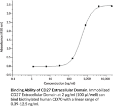 TNFRSF7/CD27 Extracellular Domain (human, recombinant)