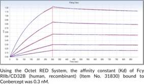 FcγRIIb/CD32B (human, recombinant)