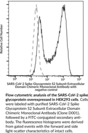 SARS-CoV-2 Spike Glycoprotein S2 Subunit Extracellular Domain Chimeric Monoclonal Antibody ...