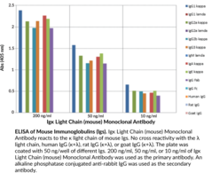 Igκ Light Chain (mouse) Monoclonal Antibody (Clone RM103)
