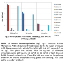 IgG1 (mouse) Rabbit Monoclonal Antibody (Clone RM106)