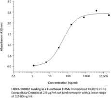 HER2/ERBB2 Extracellular Domain (human, recombinant)