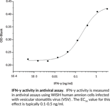 IFN-γ (human, recombinant)