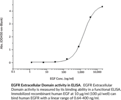 EGFR Extracellular Domain (human, recombinant)