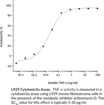 Soluble TNF-α (mouse, recombinant)