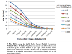 Igκ Light Chain (human) Rabbit Monoclonal Antibody (Clone RM126)