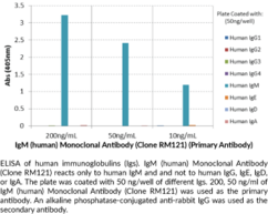 IgM (human) Monoclonal Antibody (Clone RM121)
