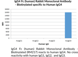 IgG4 Fc (human) Rabbit Monoclonal Antibody - Biotinylated (RM217)