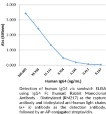 IgG4 Fc (human) Rabbit Monoclonal Antibody - Biotinylated (RM217)