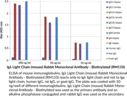 Igλ Light Chain (mouse) Rabbit Monoclonal Antibody - Biotinylated (RM110)