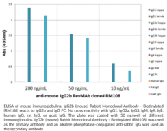 IgG2b (mouse) Rabbit Monoclonal Antibody - Biotinylated (RM108)