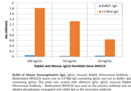 IgG2c (mouse) Rabbit Monoclonal Antibody - Biotinylated (RM223)