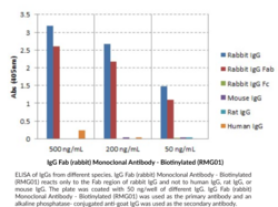 IgG Fab (rabbit) Monoclonal Antibody - Biotinylated (RMG01)
